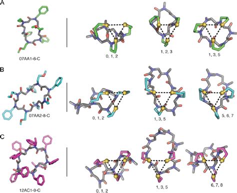 Experimentally Determined Peptoid Macrocycle Structures And