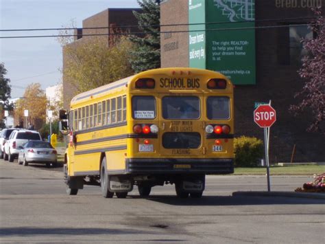 File Briggs Bus Lines 344  Cptdb Wiki Canadian Public Transit Discussion Board
