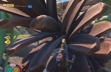 Grounded How To Find Pine Cones Rust Location Item Level Gaming