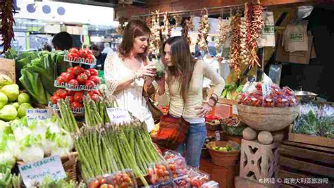 호주 한도프 독일마을 1일 투어 애들레이드 시티투어로프트산 전망대캐니언 사파리중국어 서비스