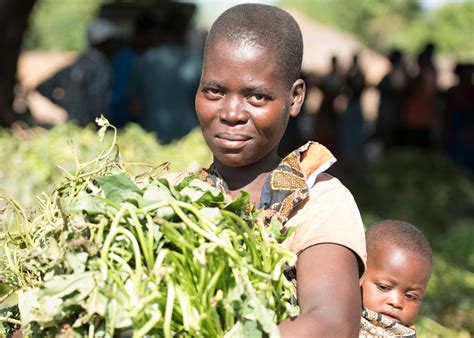 Gender And Seed Systems Gender Responsive Agricultural Research For Development