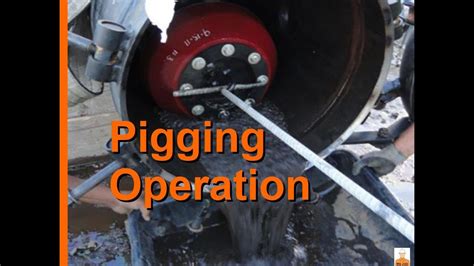 Pipeline Pigging Purpose Pig Types And Pigging Procedure 42 Off