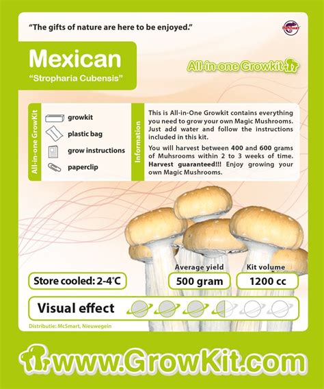 Potency Of Different Psilocybin Mushroom Strains Rshrooms