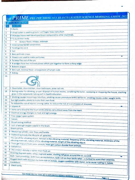 Prime Pre Ple Set 3 Sci Marking Guide Pdf