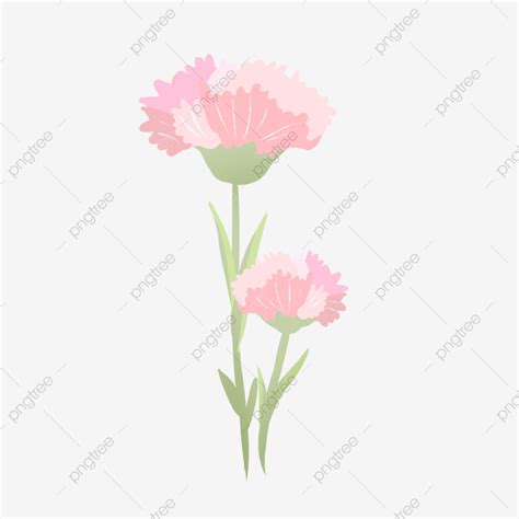 어머니의 날 카네이션 일러스트 어머니 클립 아트 어머니의 날 신선한 꽃 Png 일러스트 및 Psd 이미지 무료 다운로드 Pngtree