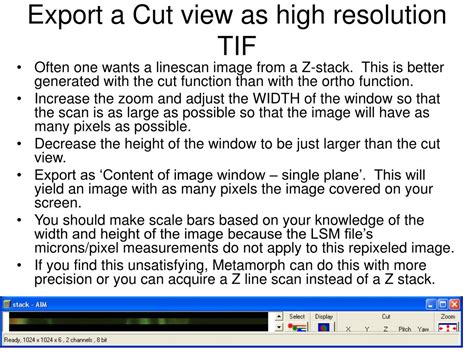 PPT LSM Browser Tutorial PowerPoint Presentation Free Download ID