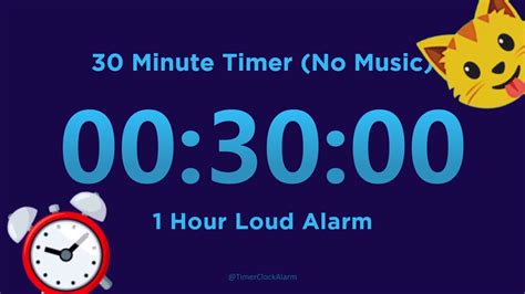 30 Minute Timer Countdown No Music 1 Hour Loud Alarm Youtube