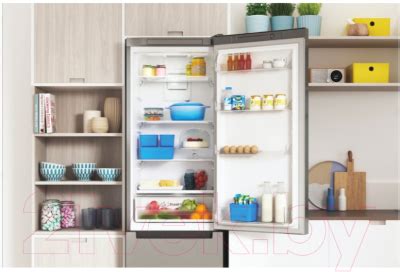 Indesit ITS 5200 X Холодильник с морозильником купить в Минске, Гомеле ...