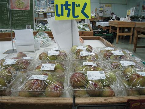 本日の入荷情報 JAくまがや