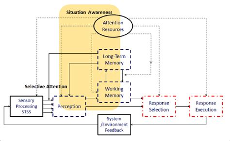Human Information Processing Model