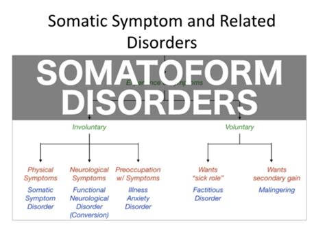 Somatic Disorders Flashcards Quizlet