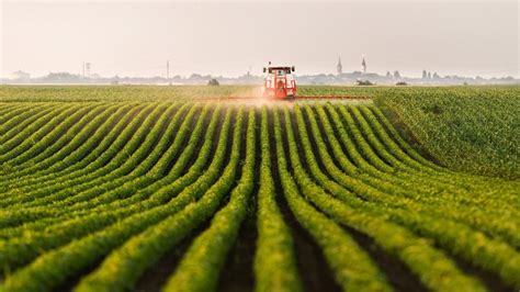 The Field Cto View Ai Vibe Coding And Developer Skillsets The New Stack