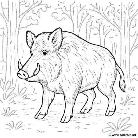 Disegno Da Colorare Di Un Cinghiale Nella Foresta Scarica O Stampa Gratuitamente