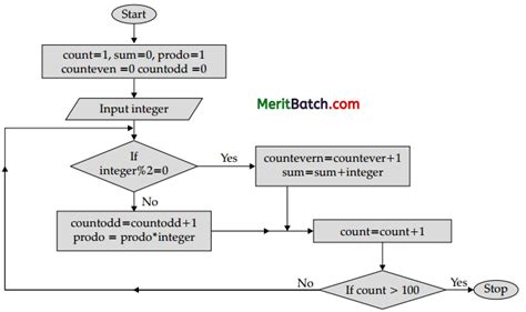 Cbse Sample Papers For Class 11 Computer Science Set 10 With Solutions