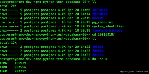 Postgresql使用pgrman恢复以及备份集的删除pg最新版本清理物理备份归档 Csdn博客 Postgresql使用pgrman恢复以及备份集的删除pg最新版本清理物理备份归档 Csdn博客