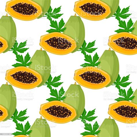 밝은 열대 과일 파파야 씨앗과 녹색 잎 배경과 단면의 전체 와 절반 여름 원활한 패턴 건강한 생활방식에 대한 스톡 벡터 아트 및 기타 이미지 건강한 생활방식 건강한