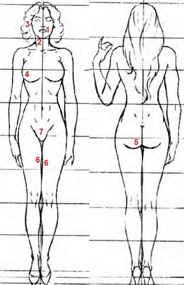 Friends Erogenous Zones By Monica Movies TV Stack Exchange