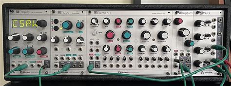 Mutable Instruments Full Modular System Gray Reverb