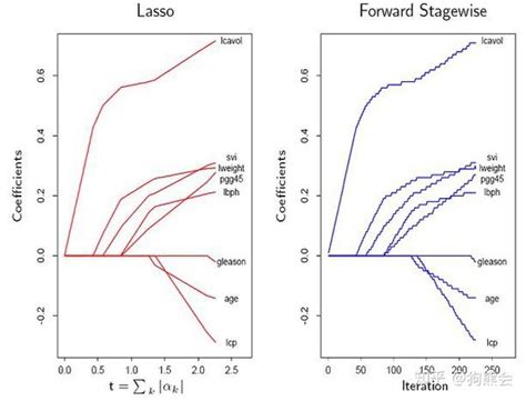统计学习：变量选择之lasso 知乎