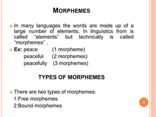 Words Morphology Syntax 2 PPTX Geology Science