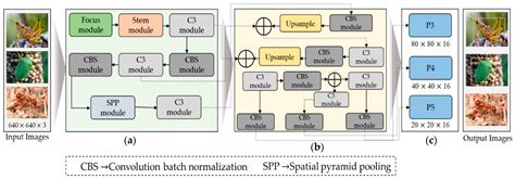 Plants Free Full Text Ai Enabled Crop Management Framework For Pest Detection Using Visual