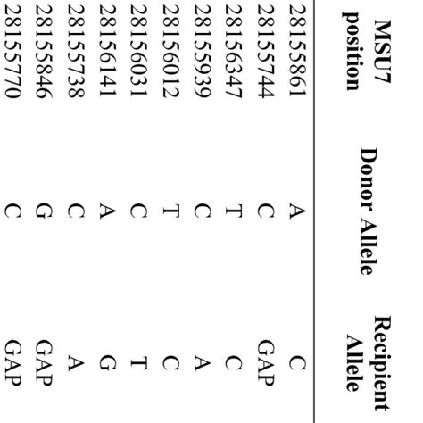 The Snp Markers Designed For Kasp Genotyping Download Scientific Diagram