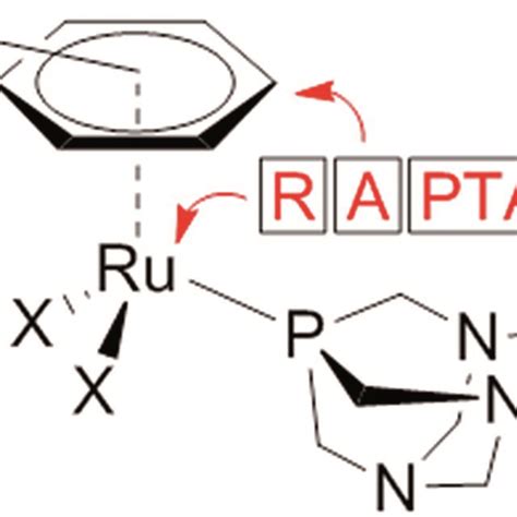 Schematic Representation Of The Components Of The Rapta Framework Download Scientific Diagram