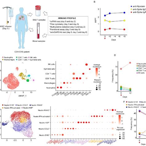 Circulating Immune Cell Population Characterization A UMAP