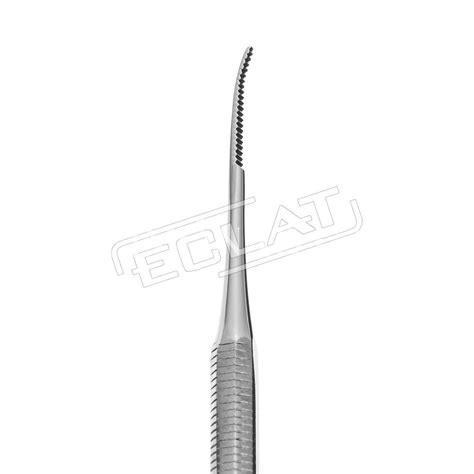 Рашпіль Eclat (подологічний інструмент) (арт.45482 ) Купити за ціною ...