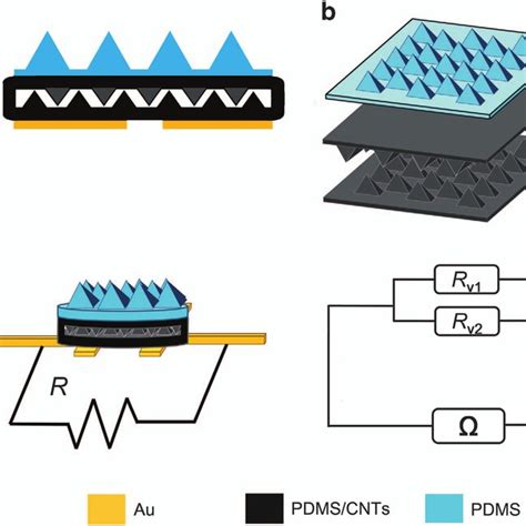 Pdf Pdms Mwcnt Based Tactile Sensor Array With Coplanar Electrodes For Crosstalk Suppression