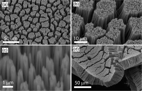 Enhanced Fusion In Face Centered Cubic Metals Physics Lenr Forum