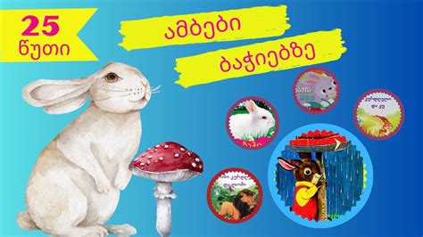 ამბები ბაჭიებზე Youtube