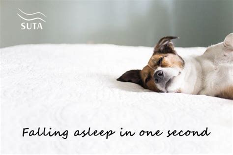 Joey Lin Posted On Linkedin