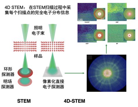 【分析测试技术论坛第73期】透射电镜4d Stem和旋进电子衍射技术及其应用 大型仪器设备共享实验中心