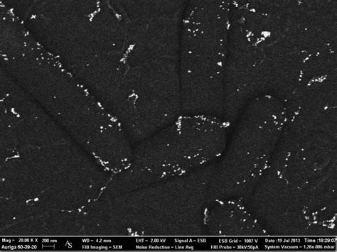 Cryo Fib Sem Application Examples