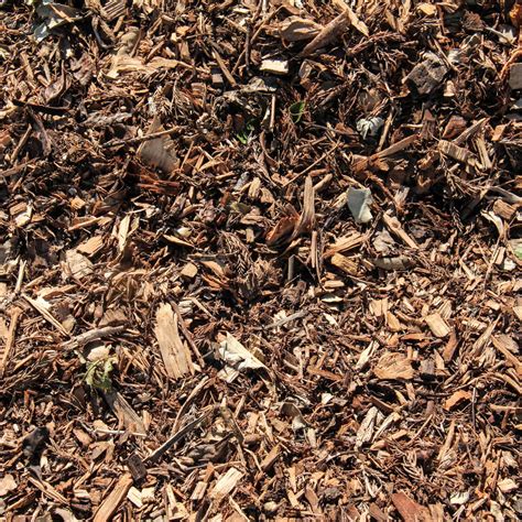Organic Arborist Mulch Tui Landscape
