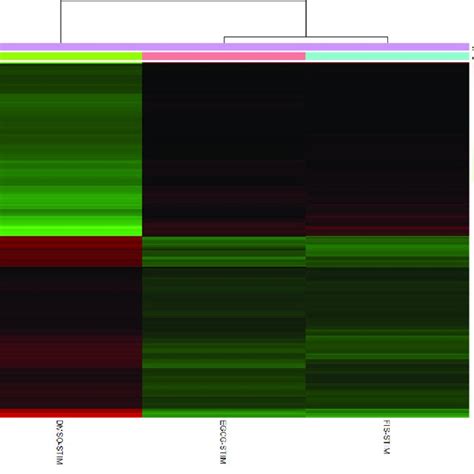 Heatmap Visualizing The Hierarchical Clustering Of Gene Expression For Download Scientific