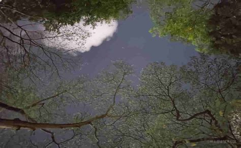 如何巧妙地使用css Div进行横向排列自动换行？小菜鸟的进阶指南！ Bytezonex社区