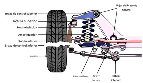 Rótula De Auto ¿qué Es Y Cuánto Cuesta Autofact