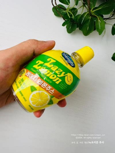 느억맘 소스 느억맘 뜻이 뭐지 베트남 분짜 소스 느억짬 만들기 Ft 피쉬소스 네이버 블로그