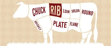 What Is A Ribeye Steak Everything You Want To Know On This Classic Cut