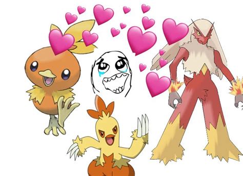 Pokemon Torchic Evolution