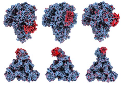 Visualization Of 3d Attention Map We Map The Value In The Attention