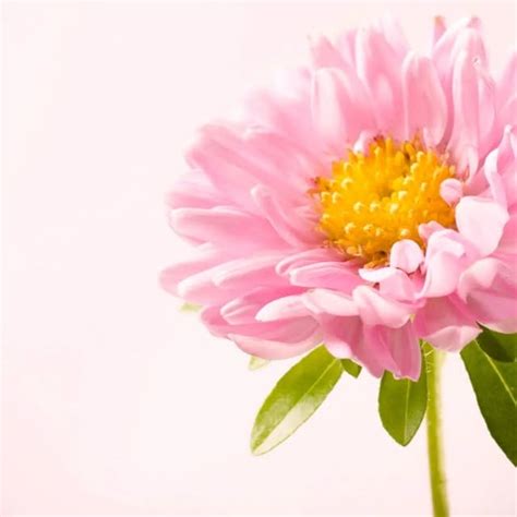 Nguyễn Ngọc Trinh Nguyenngoctrinh58605 • Threads Say More