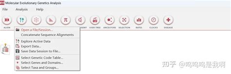 构建系统发育树（进化树） 知乎