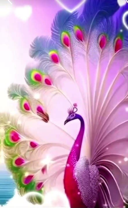 Beautiful Peacocks 🦚🦚 Song Music Youtube