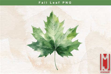 Fall Leaf Graphic By Jm Printablesby · Creative Fabrica