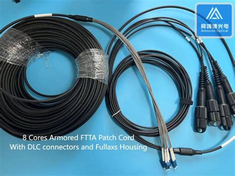 8 Cores Sm Armored Ftta Patch Cord 100m Cpri Patch Jumper With Pdlc Connector Lszh