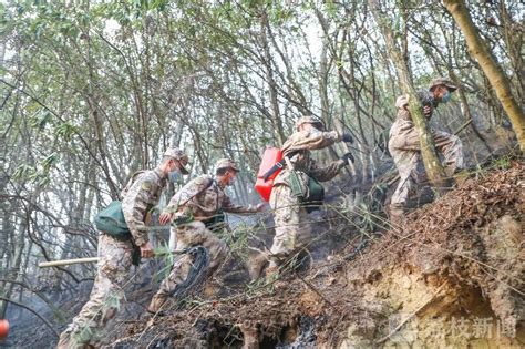 云南彝良突发山火 武警官兵星夜驰援 荔枝军事 荔枝网新闻