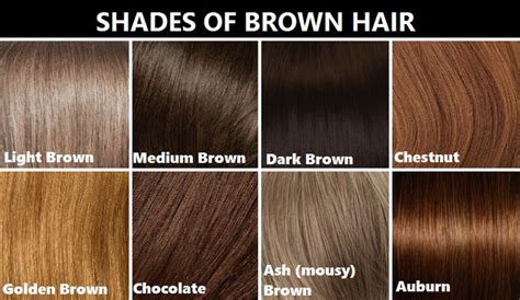 Hair Brown Color Chart Ash Brown Hair Color Kfpt